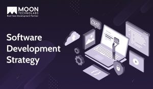 Choose the Right Software Development Strategy For Your Business