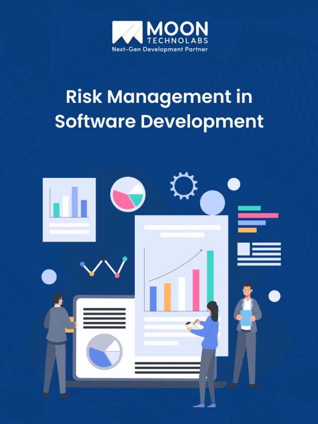 Mastering Risk Management in Software Development